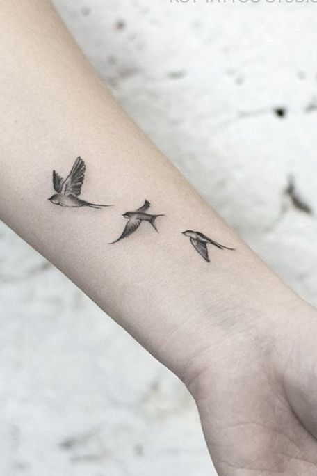 Simbologia Rondini Tattoos Tatuaggio Soffione: Significato E