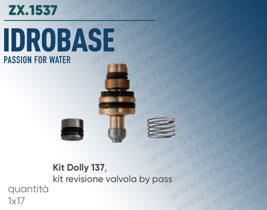 Kit Dolly 137 IDROBASE valido per pompe W955, W956, W957 INTERPUMP composto da Revisione Valvola ...