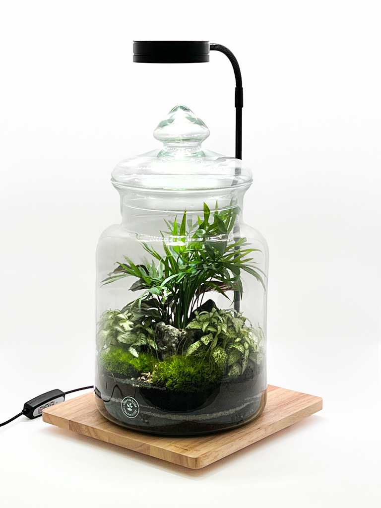 Illumina il tuo terrario con Led Lamp di Terraviva Design!
