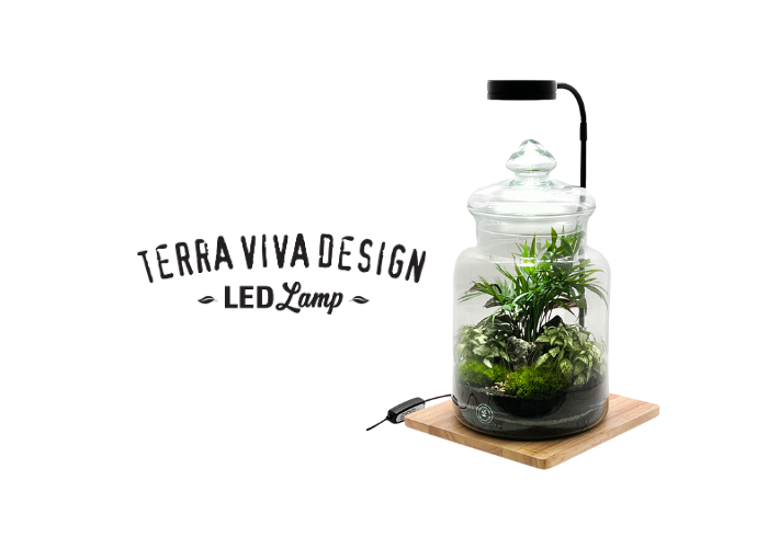 Illumina il tuo terrario con Led Lamp di Terraviva Design!