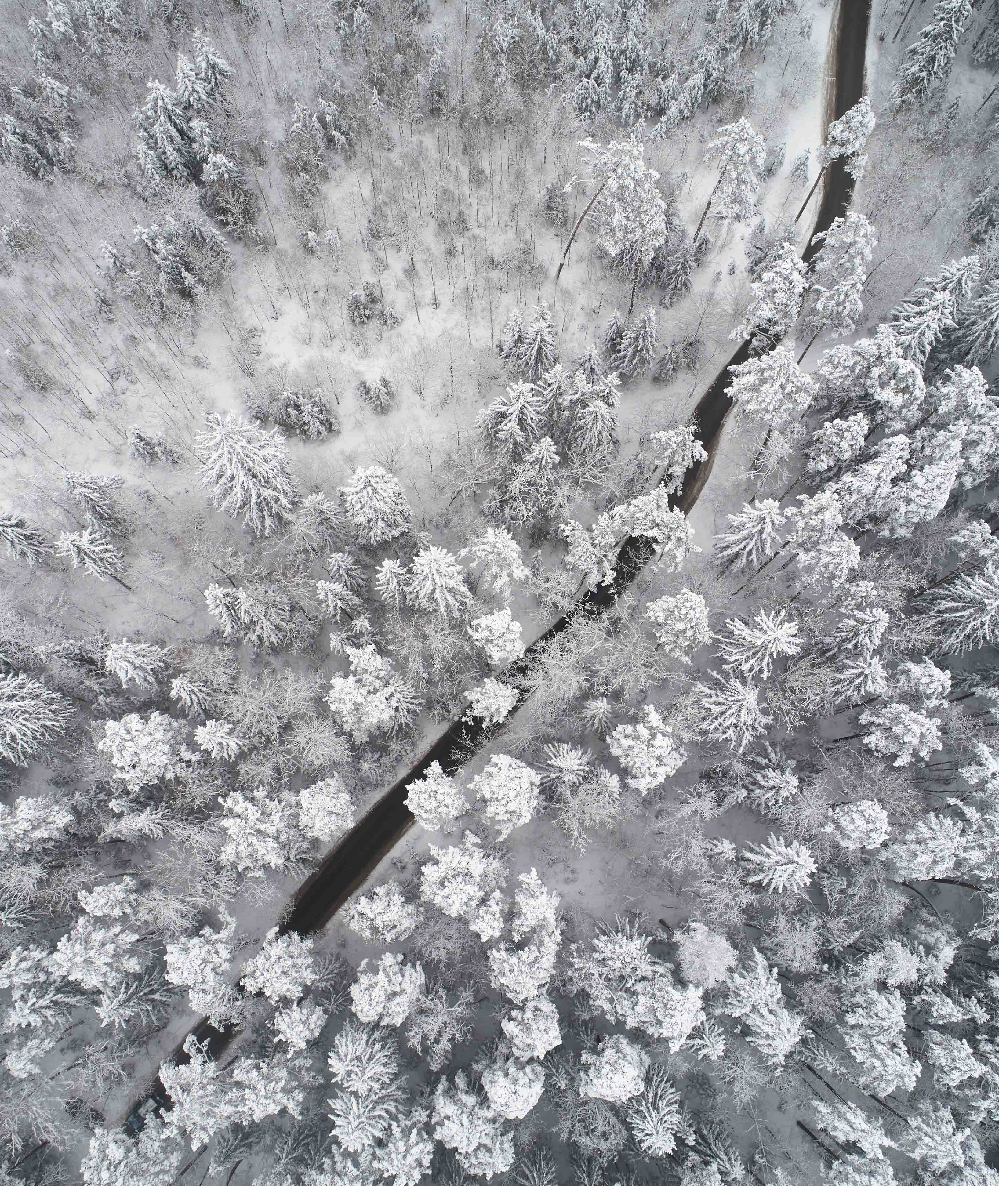 Sfumature di bianco: il color bianco ghiaccio | San Marco