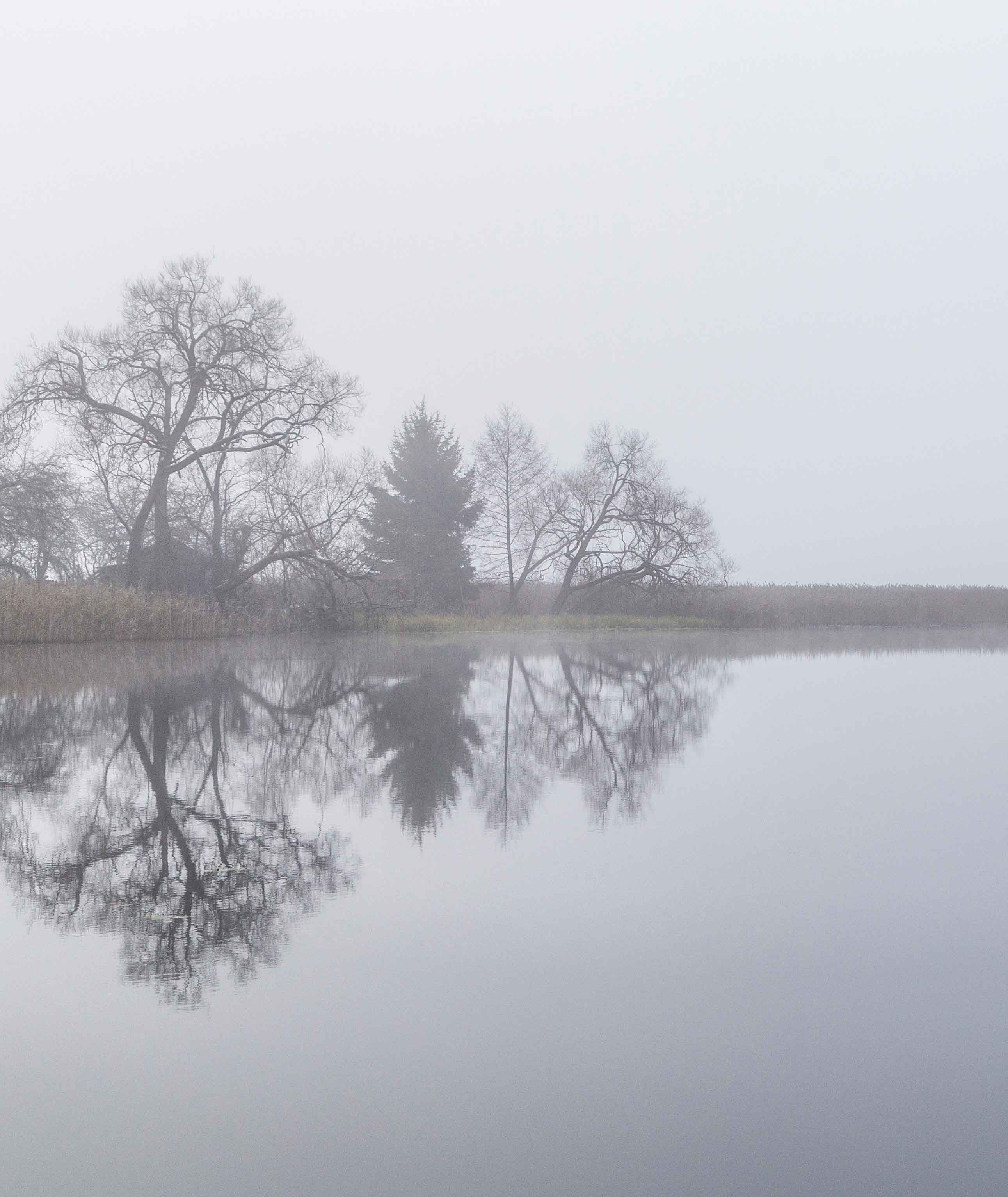 Sfumature di grigio: il color grigio perla | San Marco
