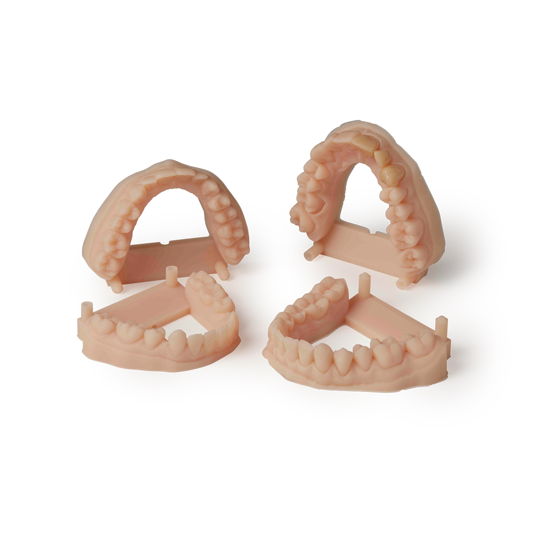 Formlabs Model V2 Resin 5 L | 3DZ FRANCE